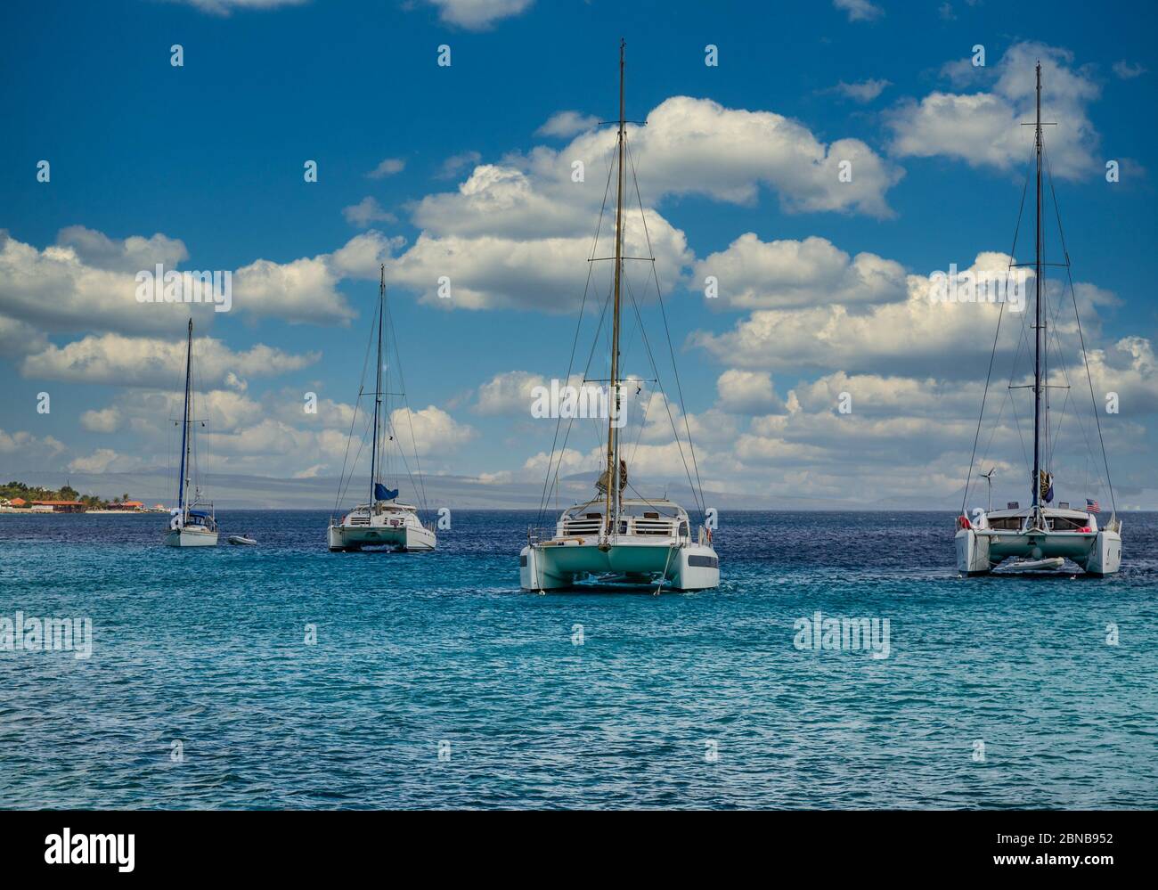White Catamarans and Sailboats Stock Photo - Alamy