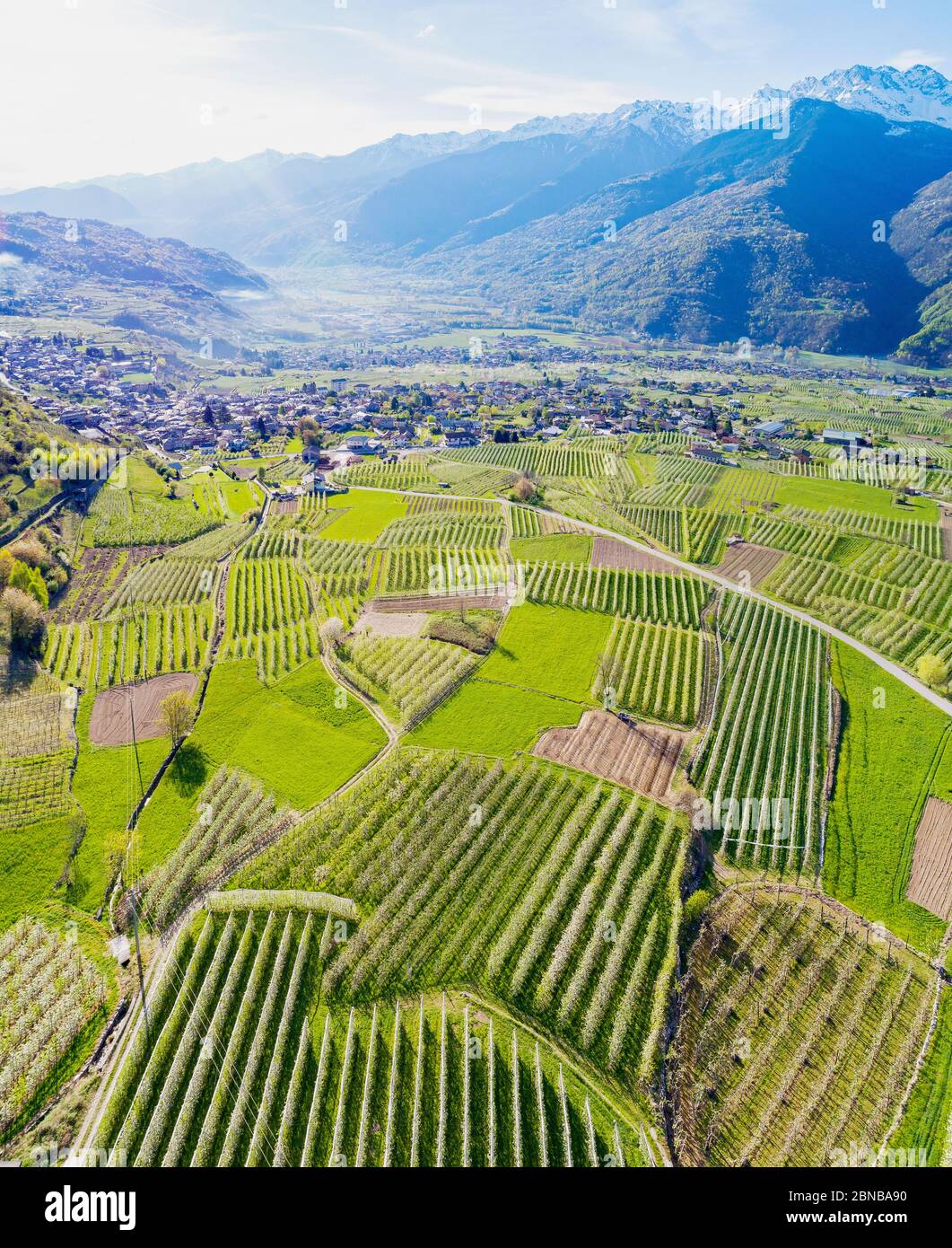 Orchard terraces hi-res stock photography and images - Alamy