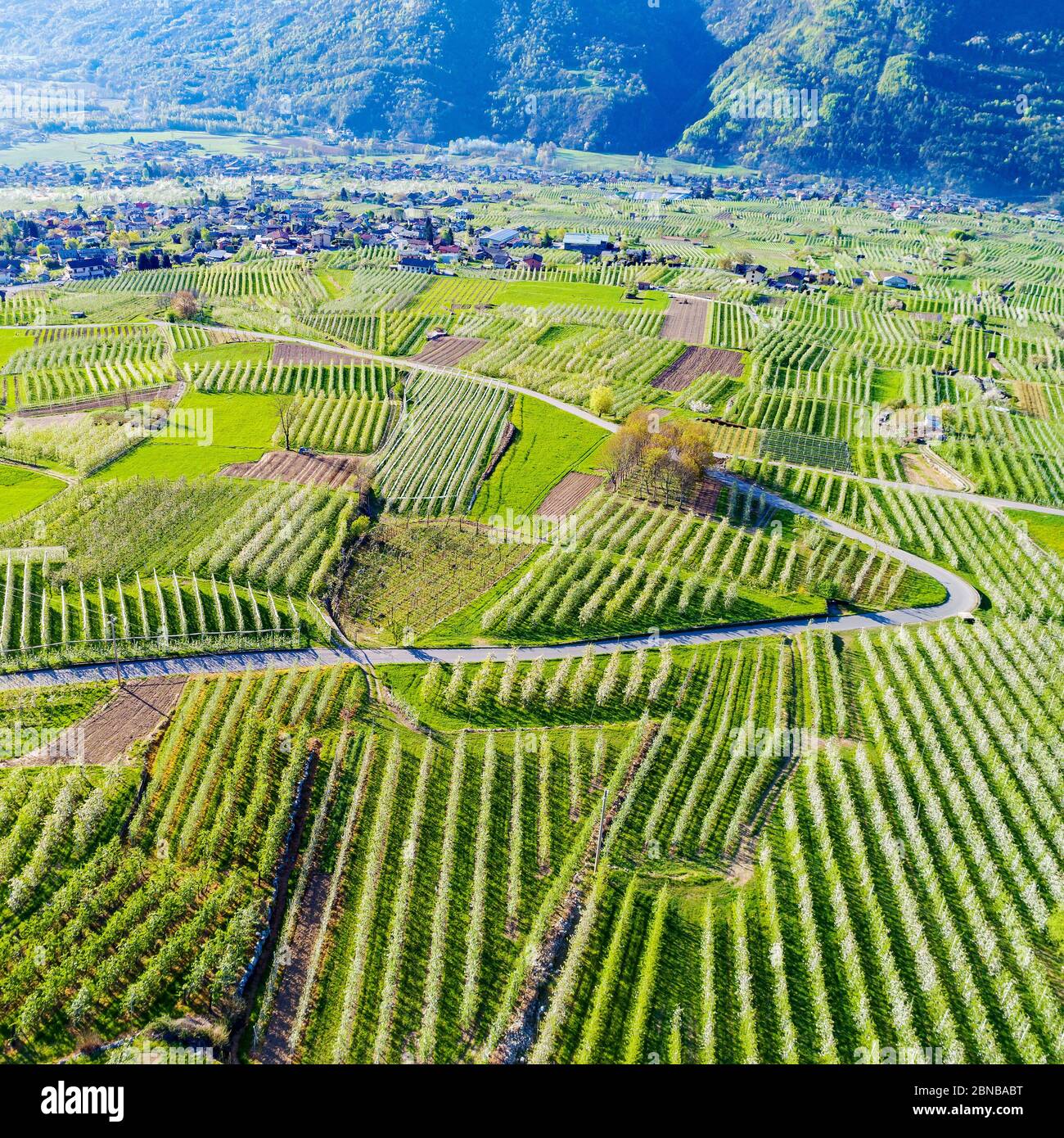 Fruit orchard on plot land hi-res stock photography and images - Alamy