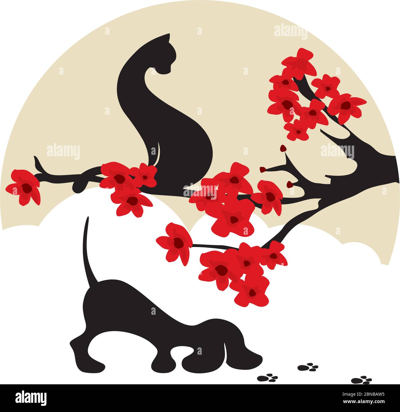 Dog cat pets veterinary Cut Out Stock Images & Pictures - Alamy