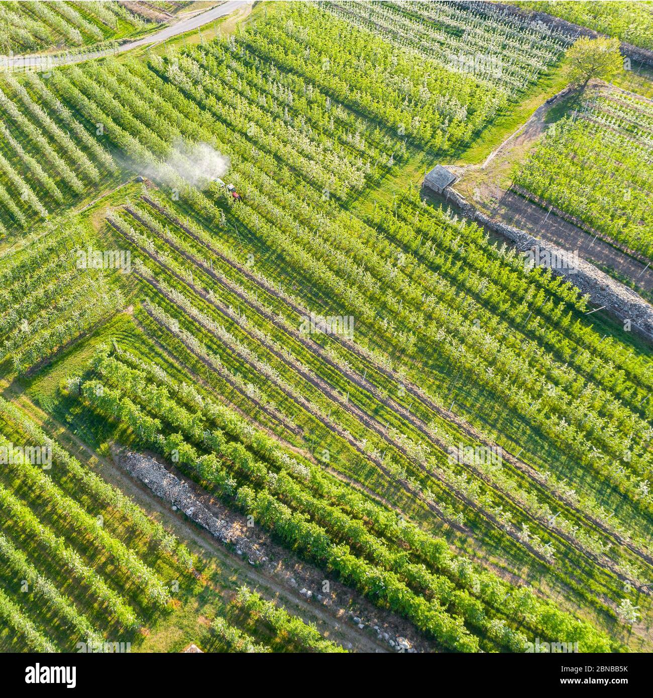 Orchard plot hi-res stock photography and images - Alamy
