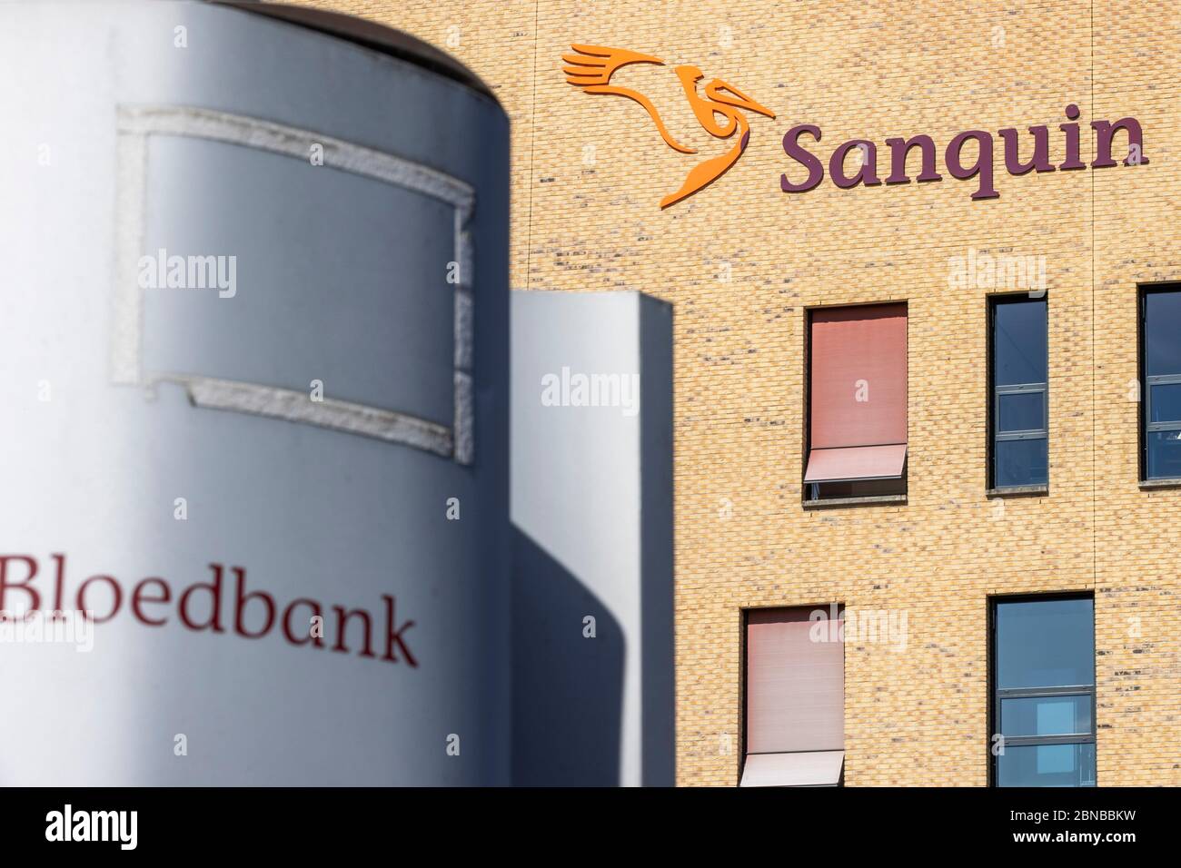 Sanquin hi-res stock photography and images - Alamy