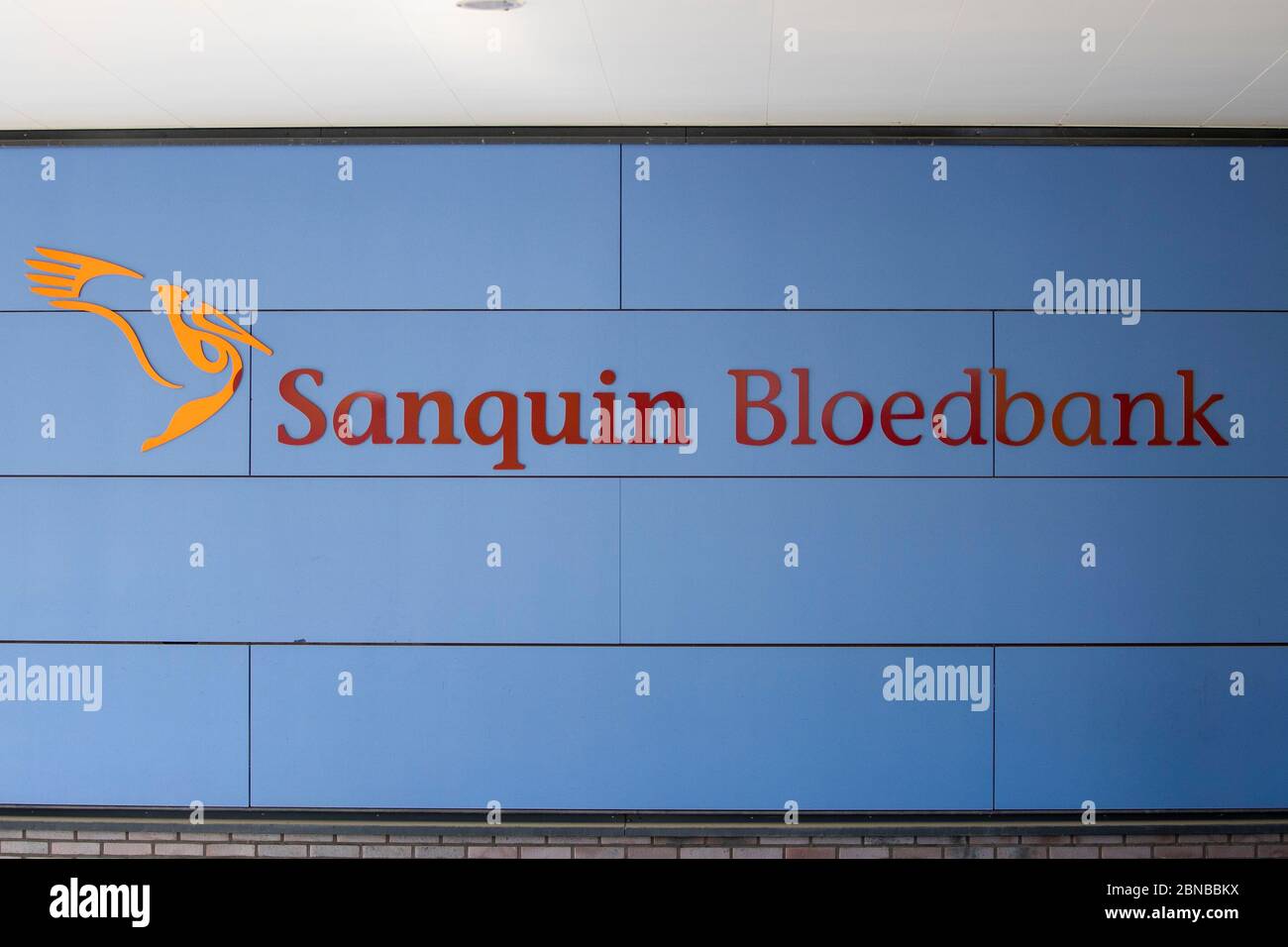 Sanquin hi-res stock photography and images - Alamy