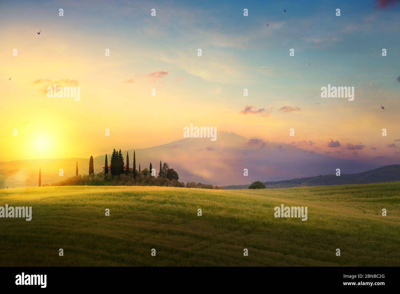 Beautiful summer italian tuscany hi-res stock photography and images ...