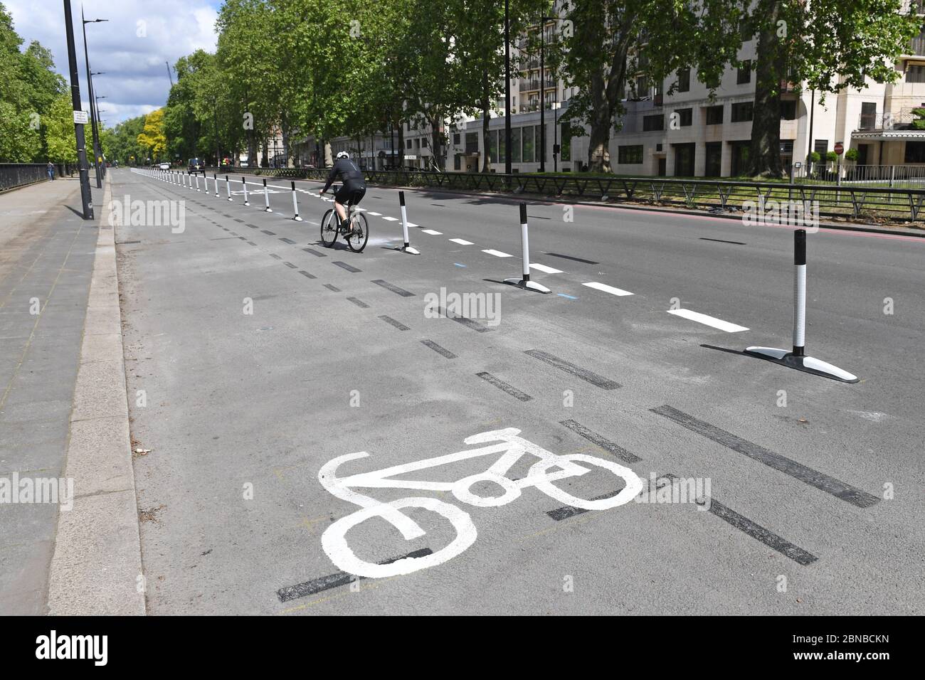 A cyclist uses a pop-up cycle lane in Park Lane, London. Bollards have ...