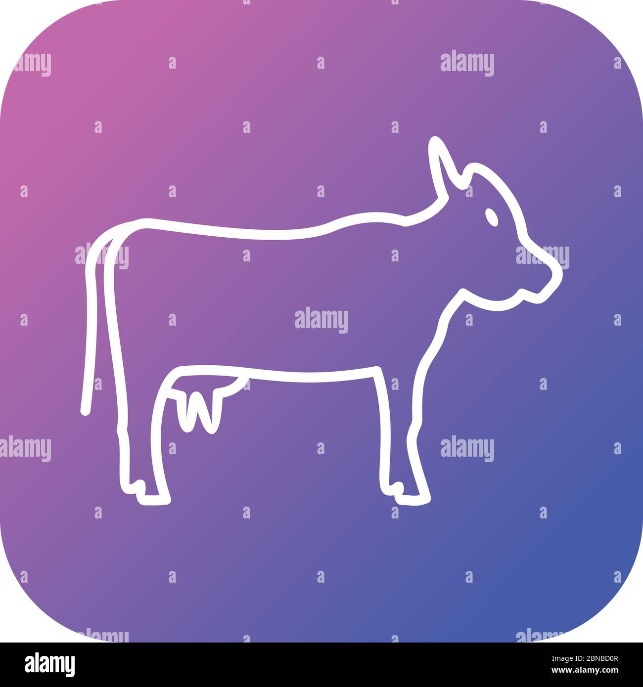 Beautiful Cow Line Vector Icon Stock Vector Image & Art - Alamy