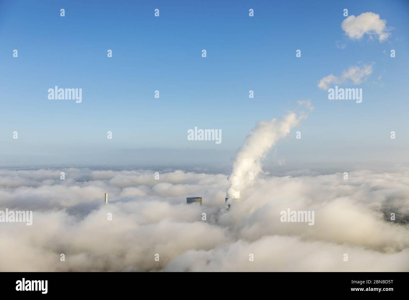 Over 300 plants hi-res stock photography and images - Alamy