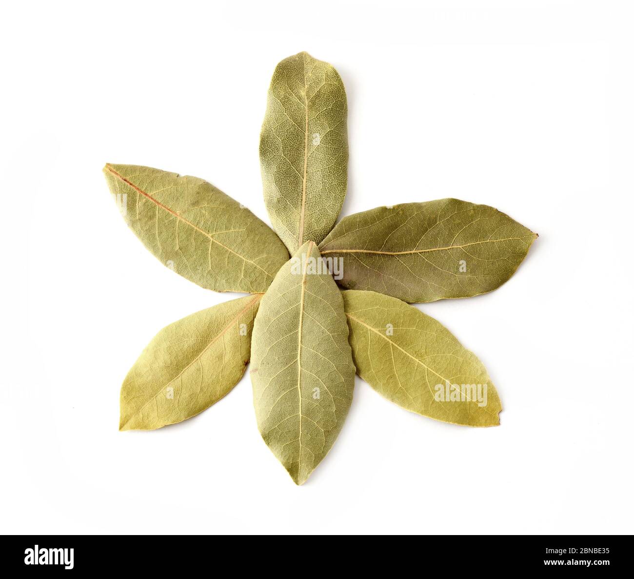 Whole bay leaves hi-res stock photography and images - Alamy