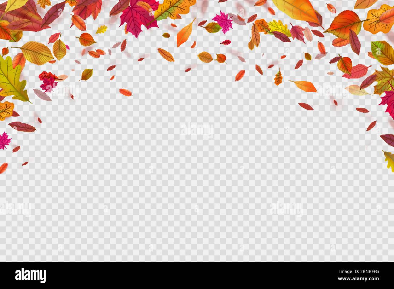 Autumn falling leaves. Autumnal forest foliage fall. Vector ...