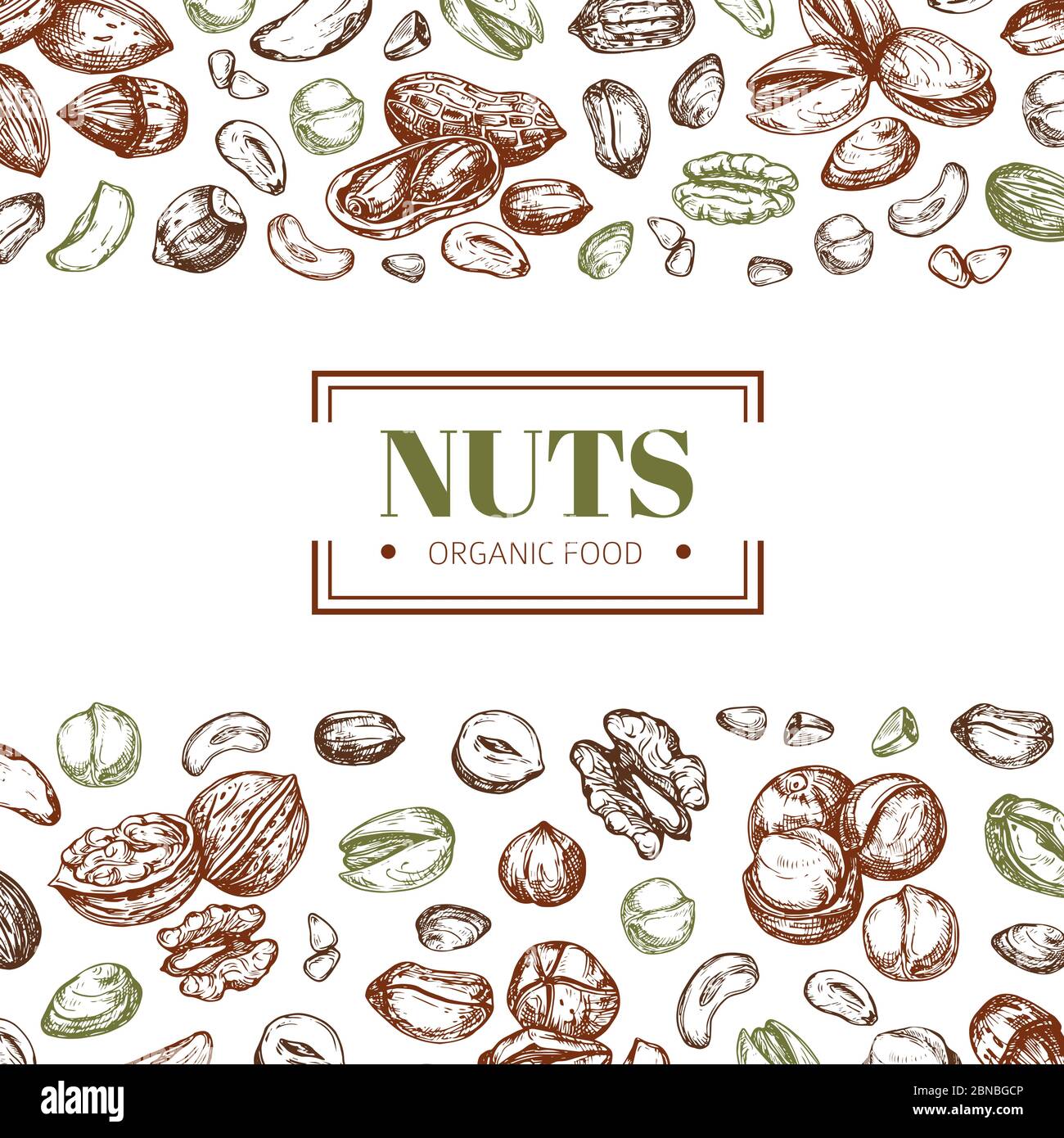 Background with nuts. Cashew and walnut, pistachio and hazelnut organic ...