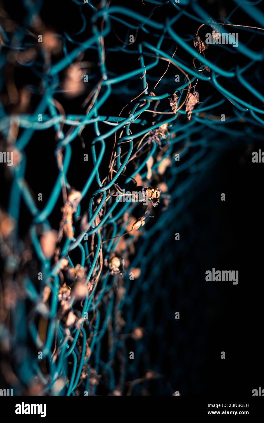Vertical closeup of blue chain-link fences under the lights in the ...