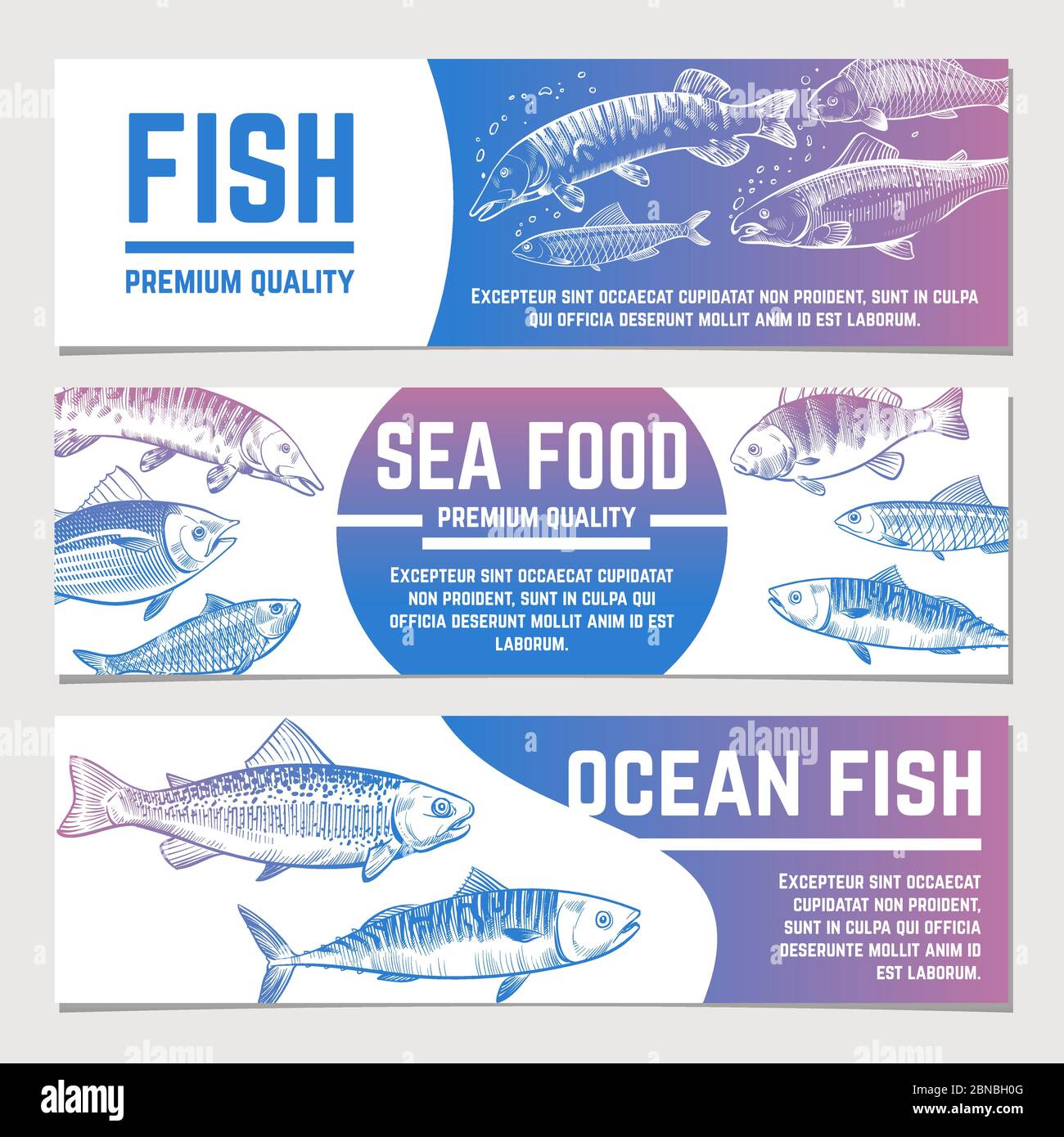 Fish banners. River and ocean sketch fishes seafood packaging vector ...