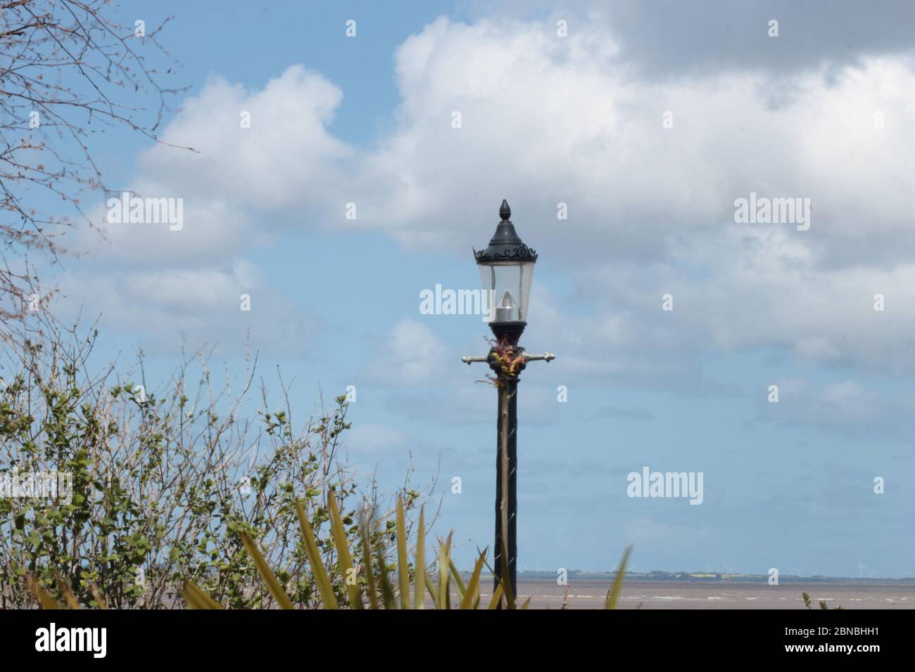 Grass grazing land tree trees hi-res stock photography and images - Alamy