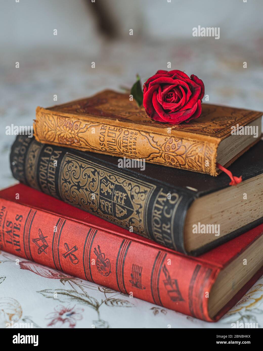 Red rose on top of a pile of books Stock Photo - Alamy
