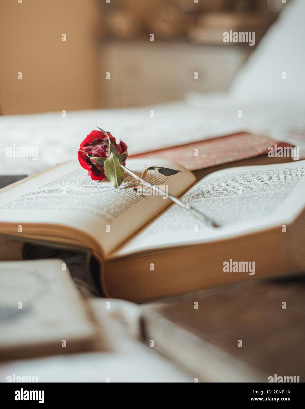 Bookstore people warm hi-res stock photography and images - Alamy