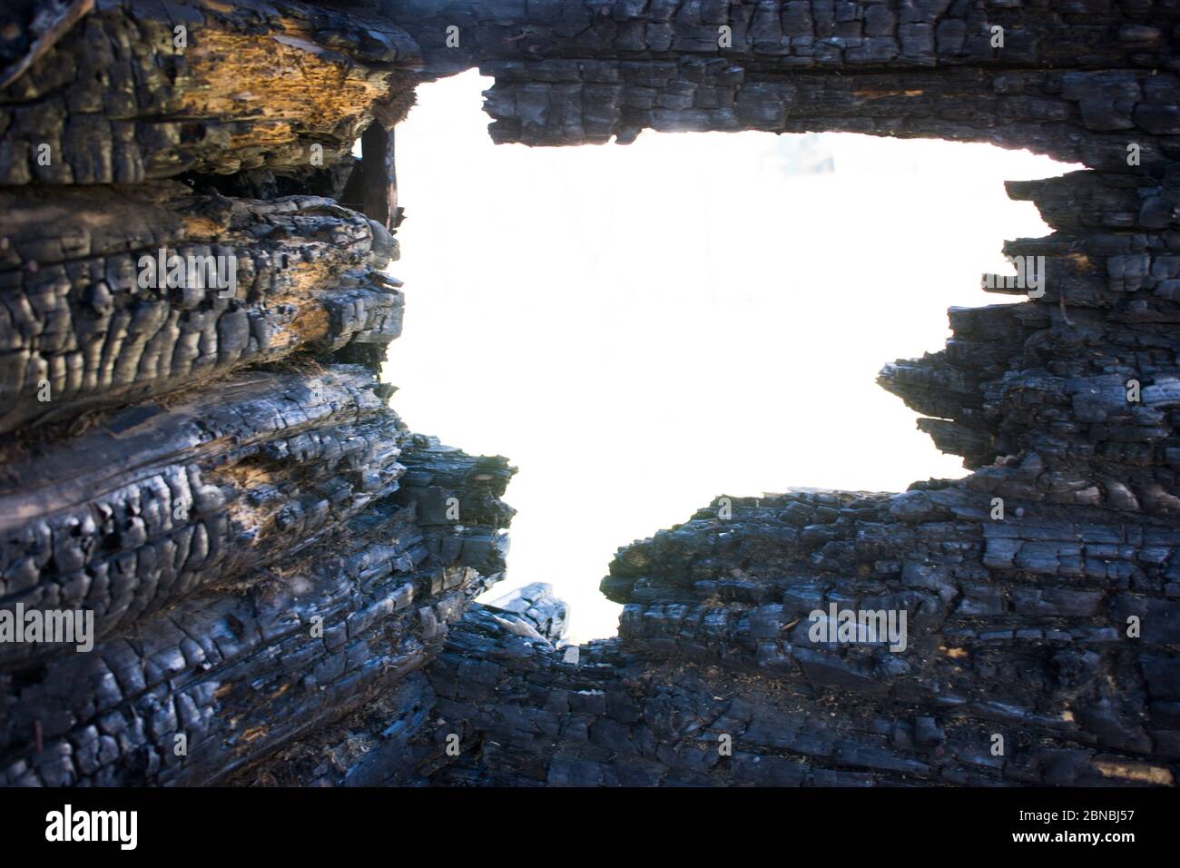 Natural fire ashes with dark grey black coals texture. It is a ...