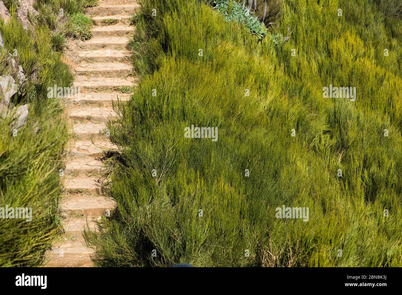 Hiking pathway at mountain peak Pico do Arieiro at Madeira island ...