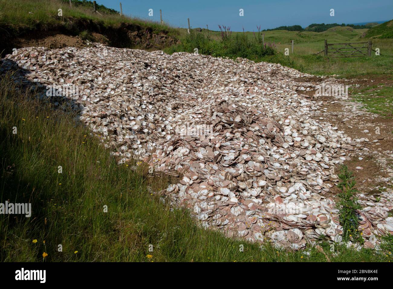 Rubbish castle hi-res stock photography and images - Alamy