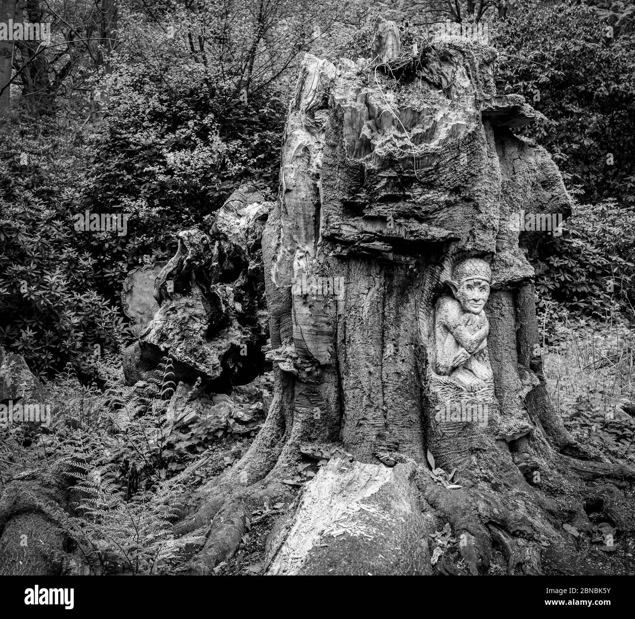 Carved bush Black and White Stock Photos & Images - Alamy