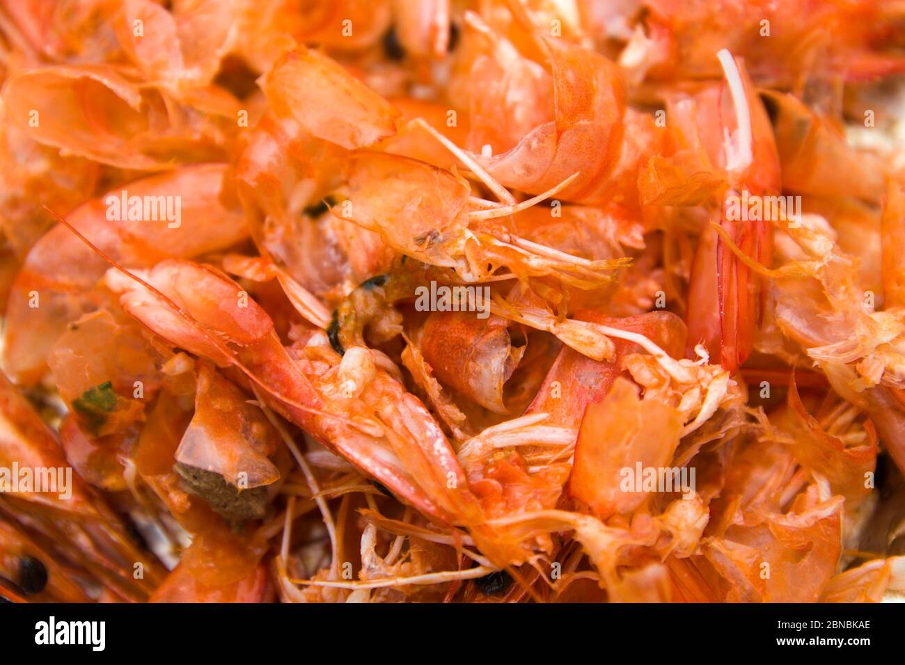 Shrimp shells trash hi-res stock photography and images - Alamy