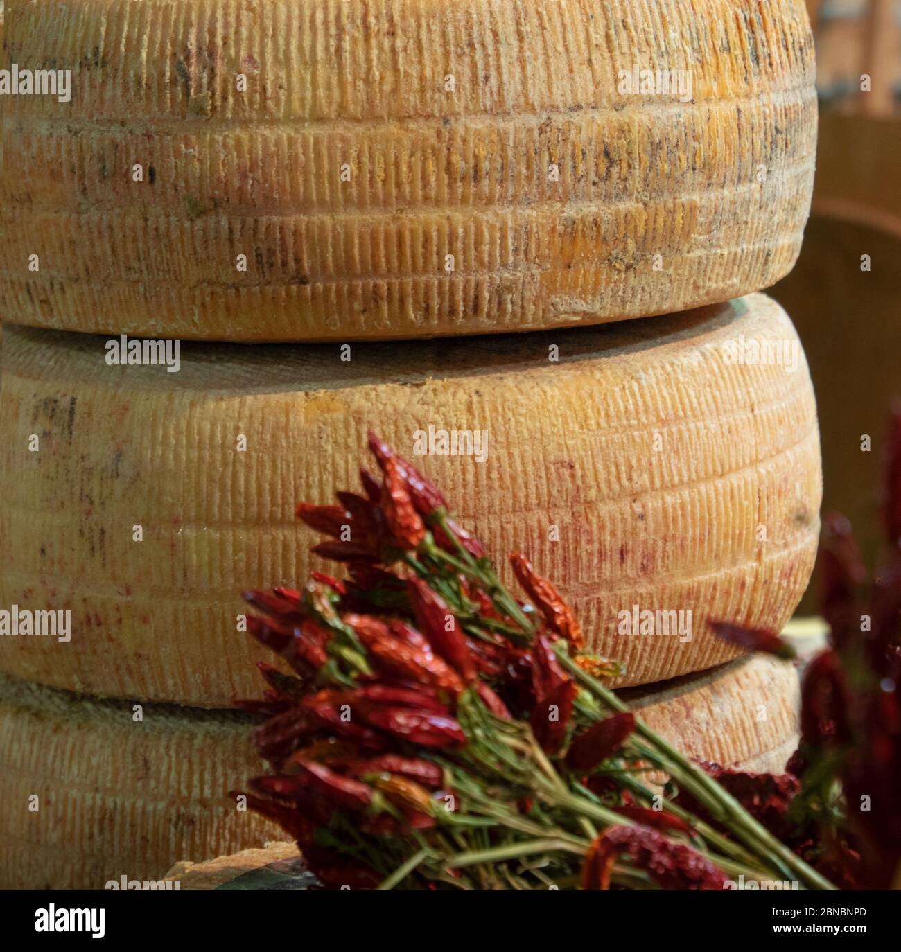 artisan cheese shapes during the seasoning phase Stock Photo - Alamy