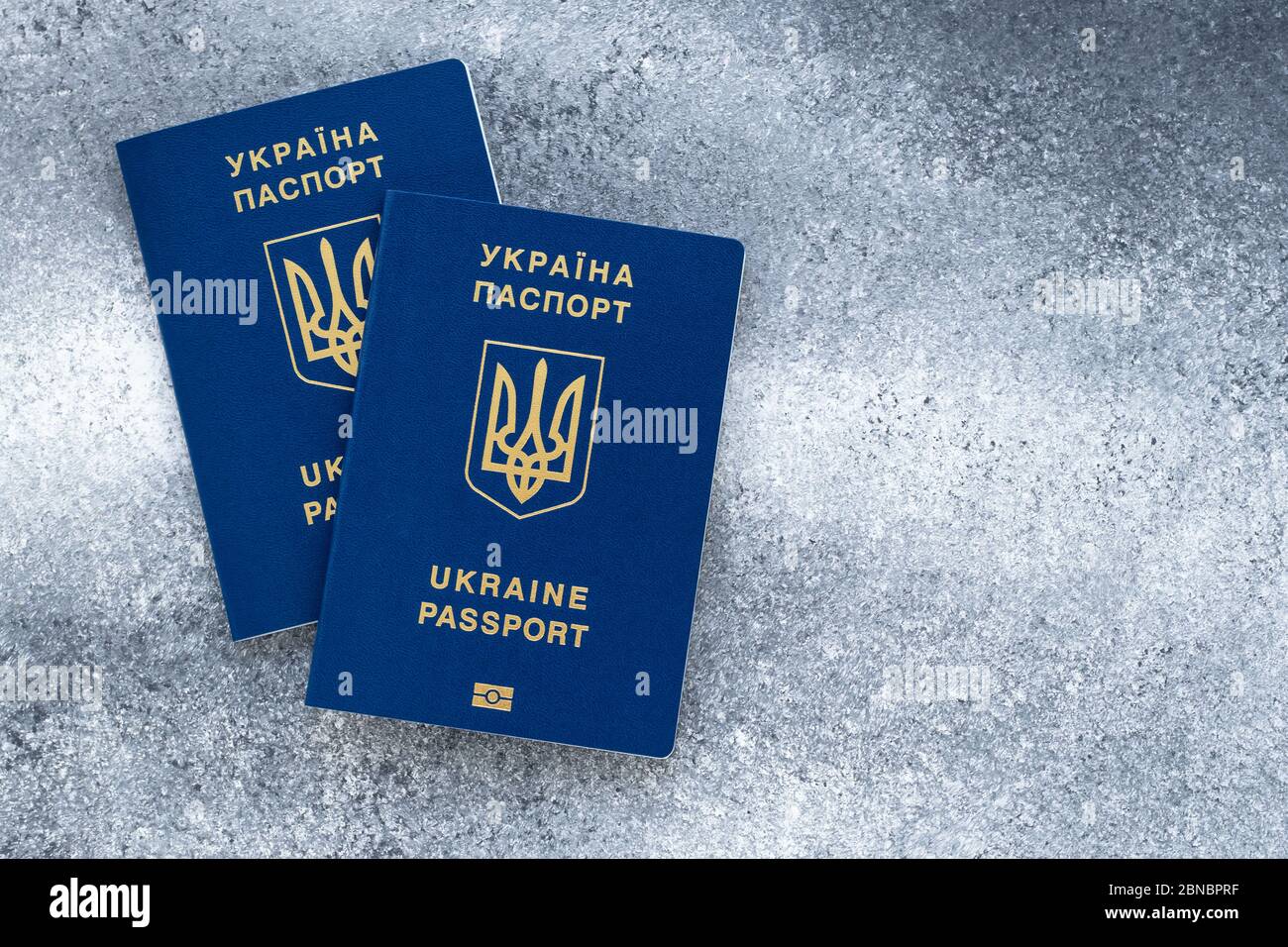 Two biometric international passports of citizen of Ukraine, Ukrainian ...