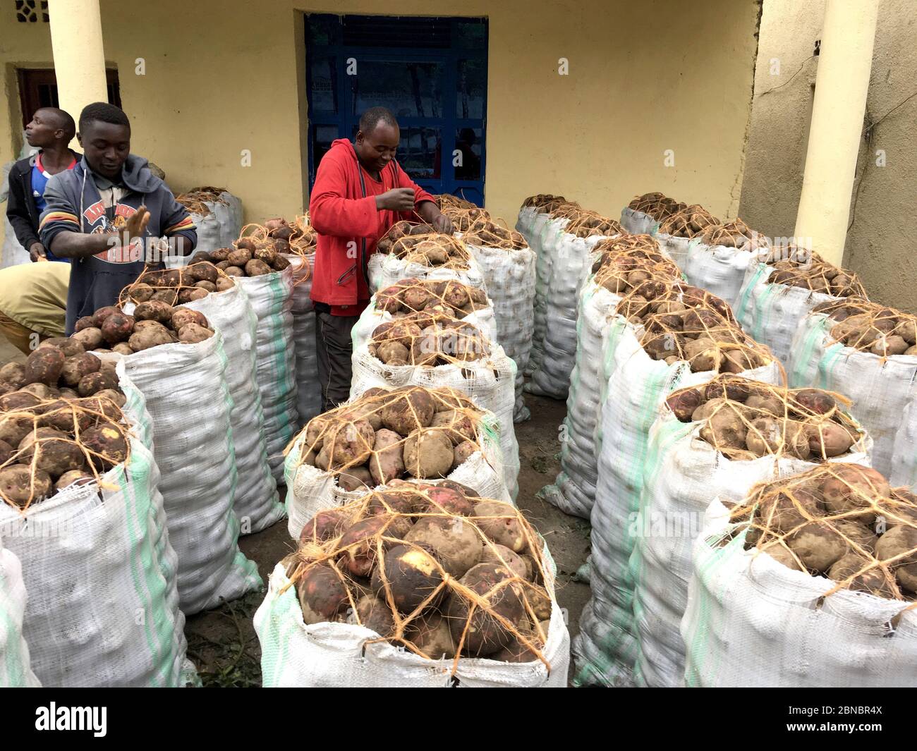 12 July 2019 - Kisungu, Rwanda: Subsistence farmers in central Africa ...