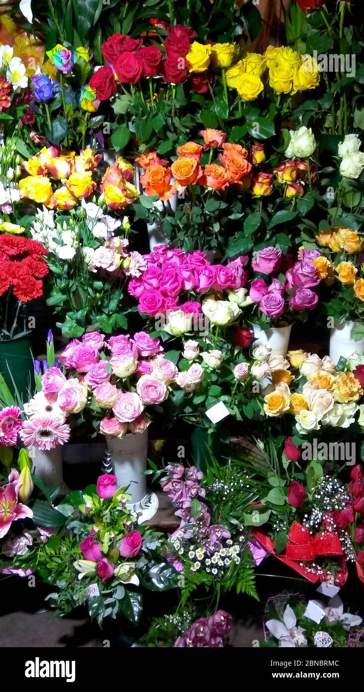 Box rose various flowers hi-res stock photography and images - Alamy