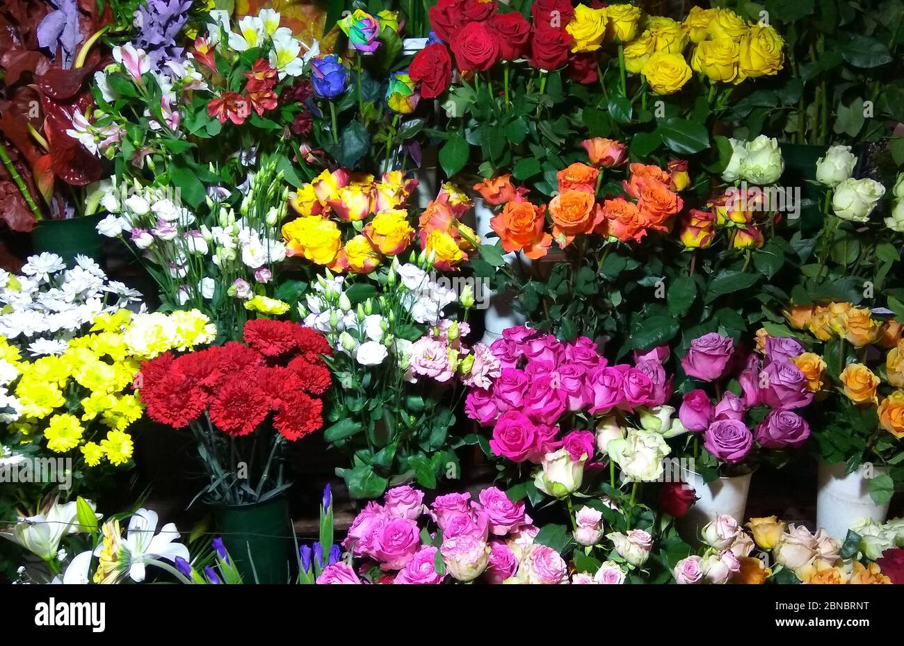 Farmers market roses hi-res stock photography and images - Alamy