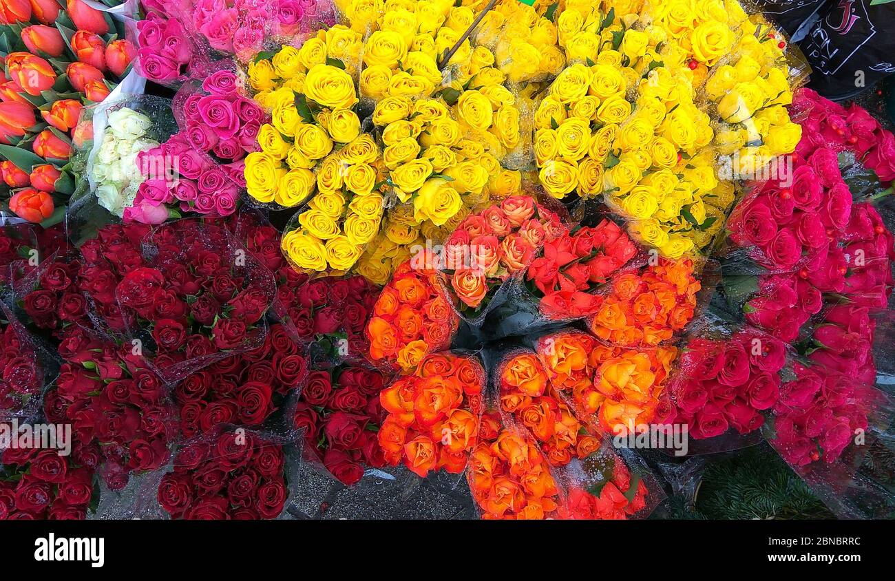 Farmers market roses High Resolution Stock Photography and Images - Alamy