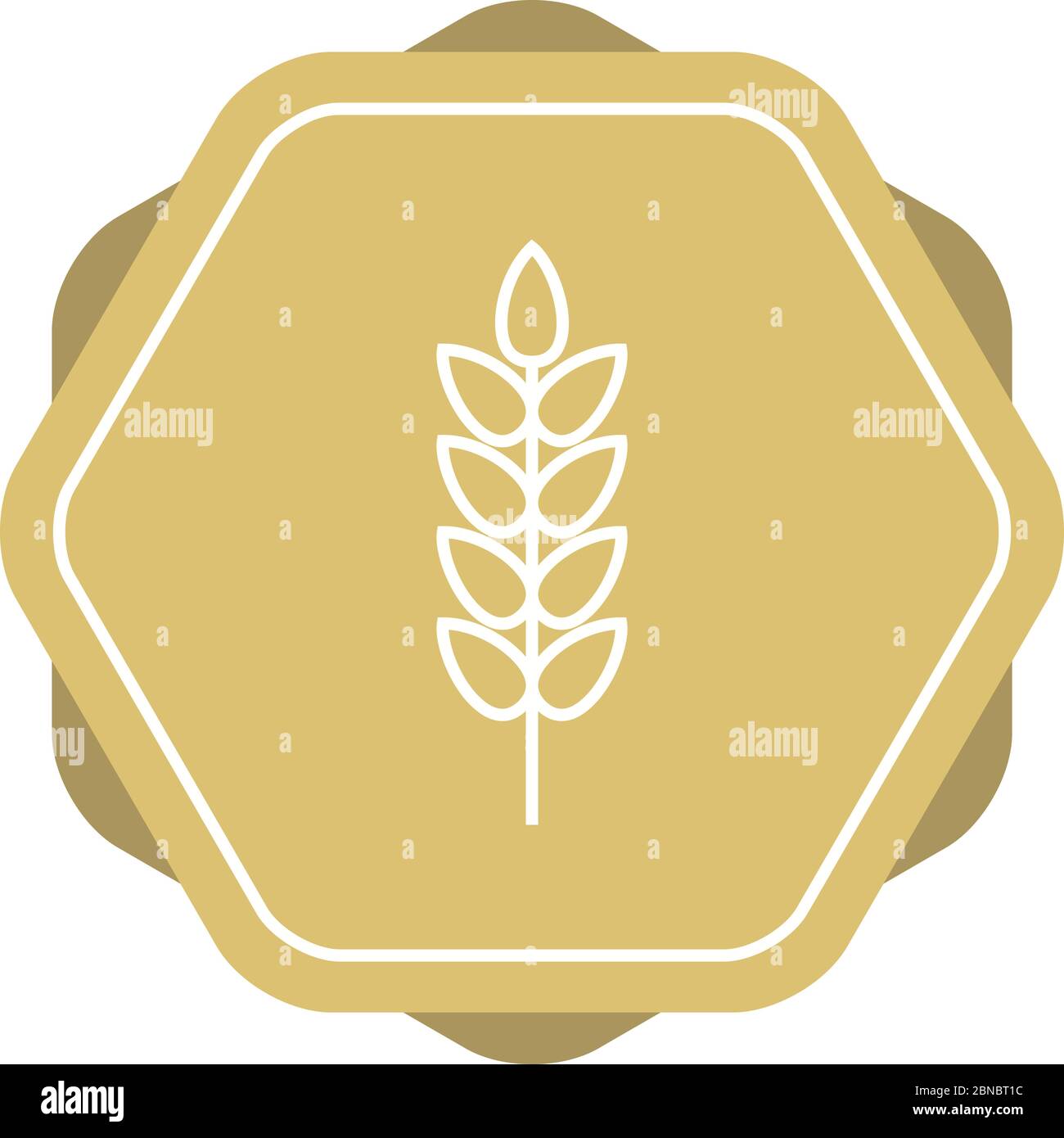 Beautiful Wheat Line Vector Icon Stock Vector Image & Art - Alamy