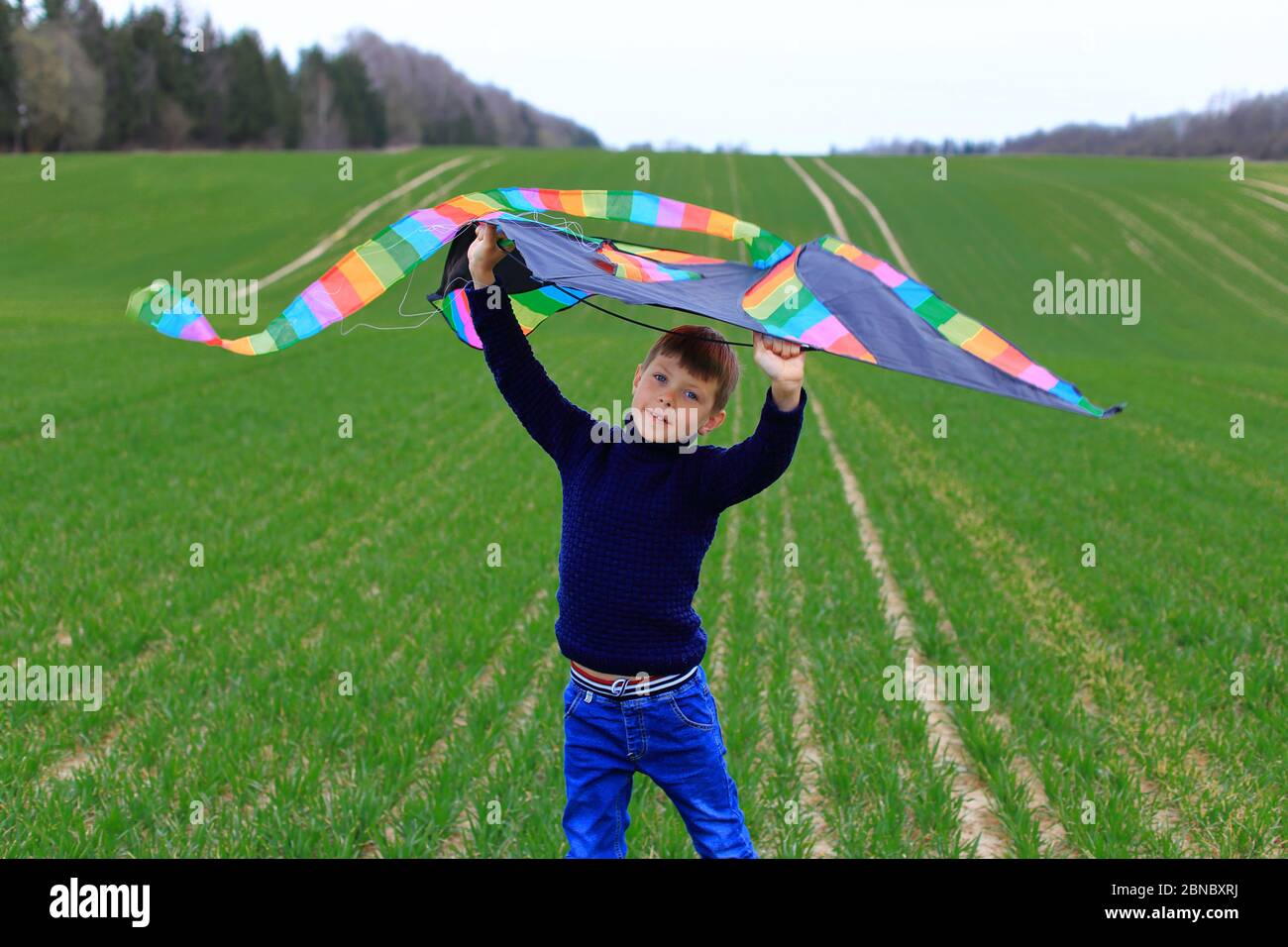 Boy launches a kite in a field in spring Stock Photo - Alamy