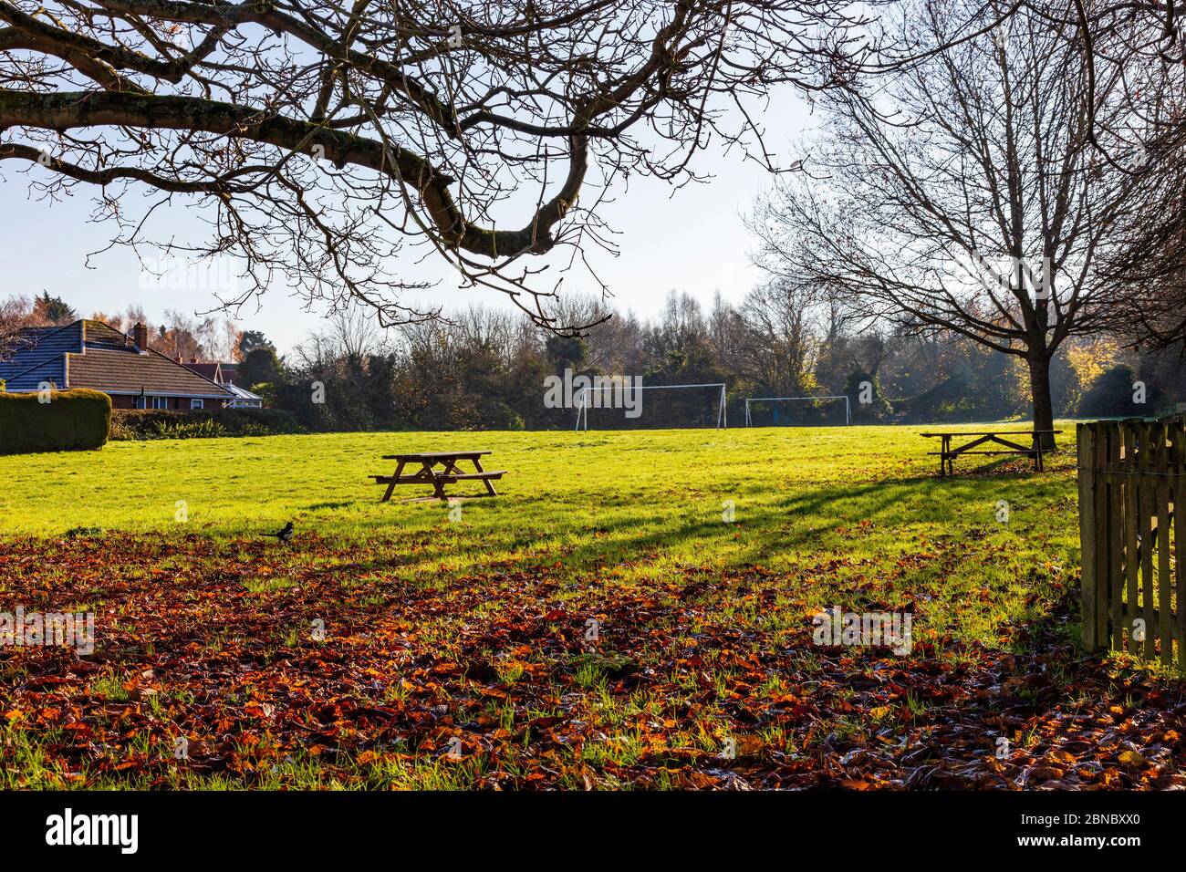 Playing field in the centre of the village of Farnborough, London ...