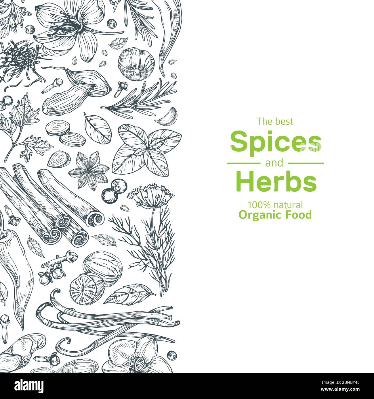Kitchen spices Stock Vector Images - Alamy