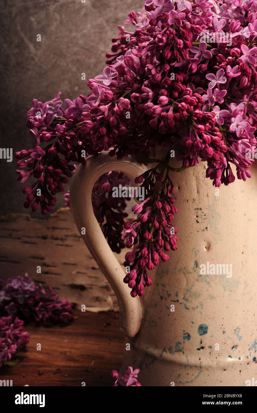 Vertical photo of purple lilacs in old worn ceramic pitcher. Closeup of ...