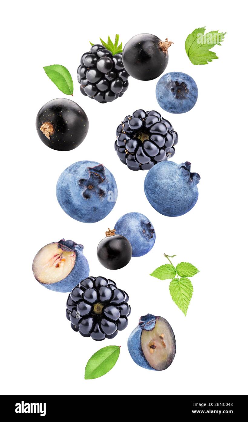 Falling berries isolated on white background Stock Photo - Alamy