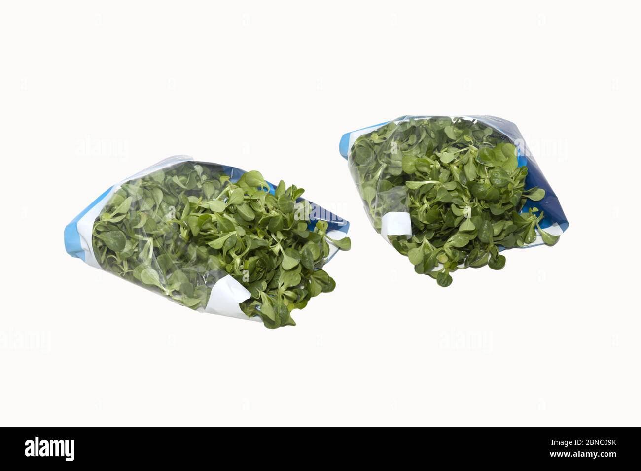 Black plastic packs bags hi-res stock photography and images - Alamy