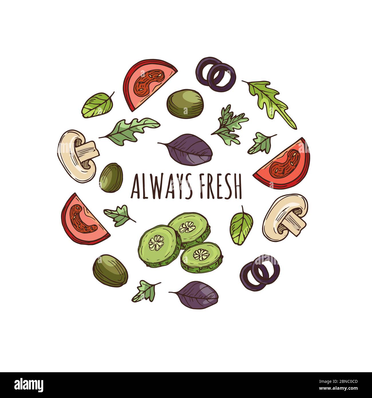 Hand drawn greens banner vector design. Sketched vegatables in circle ...