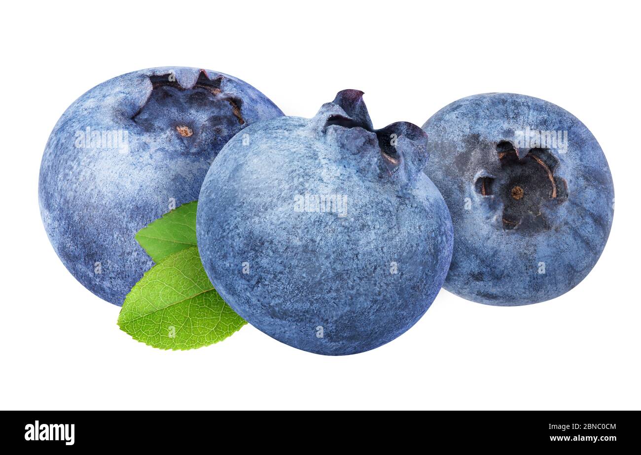 Blueberries isolated on white background Stock Photo - Alamy