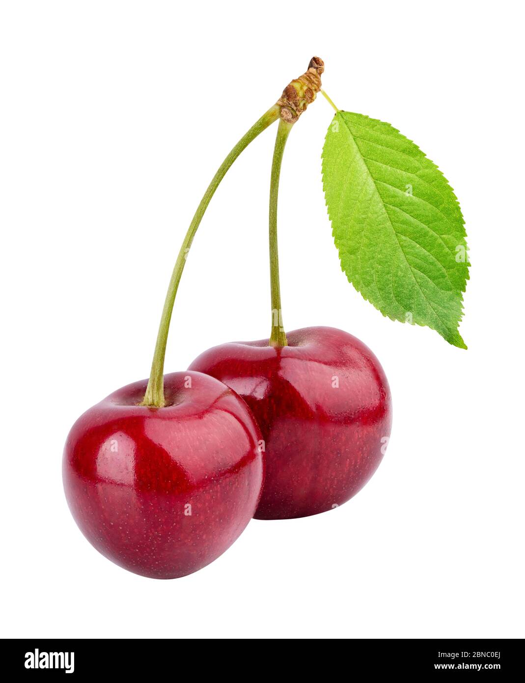 Cherries (merries) isolated on white background Stock Photo - Alamy