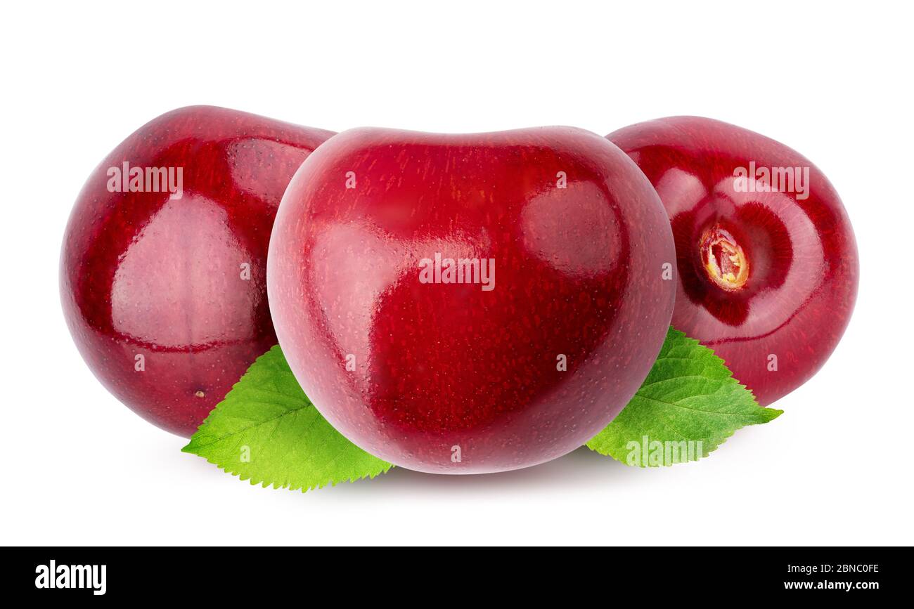 Merries hi-res stock photography and images - Alamy