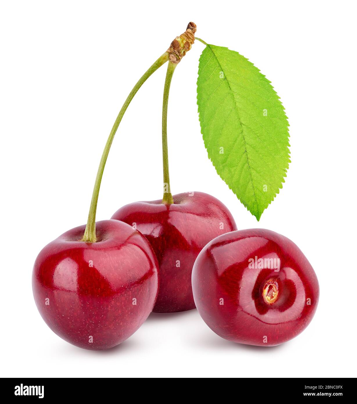 Merries hi-res stock photography and images - Alamy