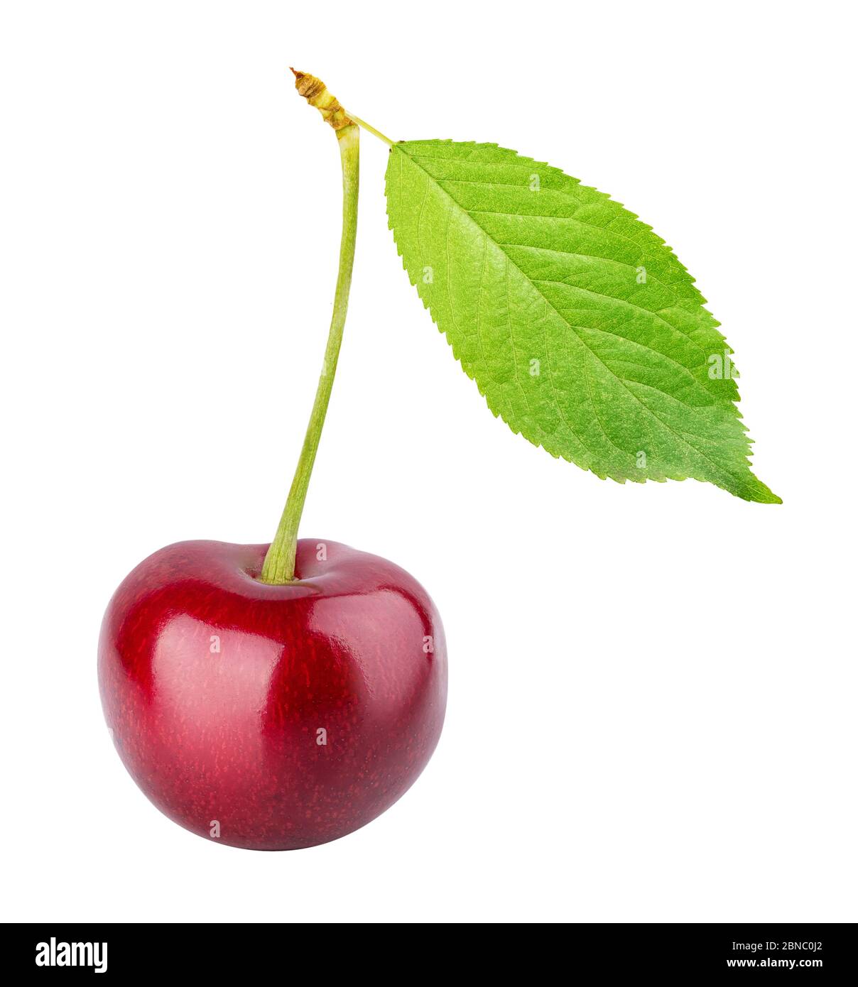 Merries hi-res stock photography and images - Alamy