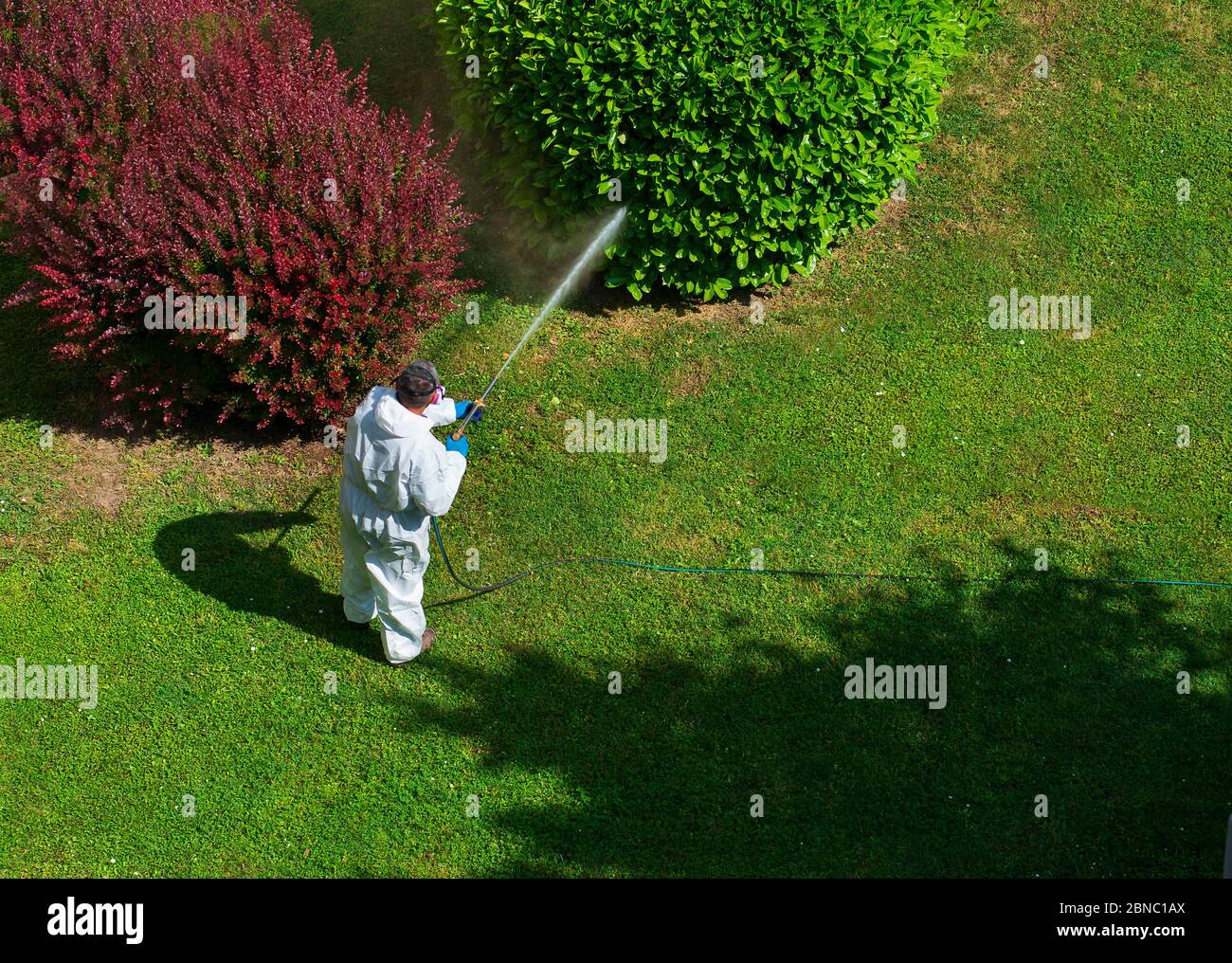 Worker Spraying Insecticide Stock Photo - Alamy