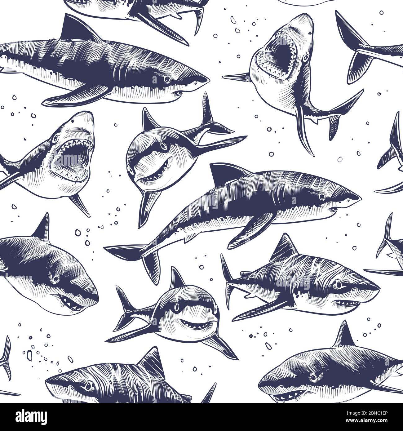 Sharks seamless pattern. Hand drawn underwater sea fish nautical ...