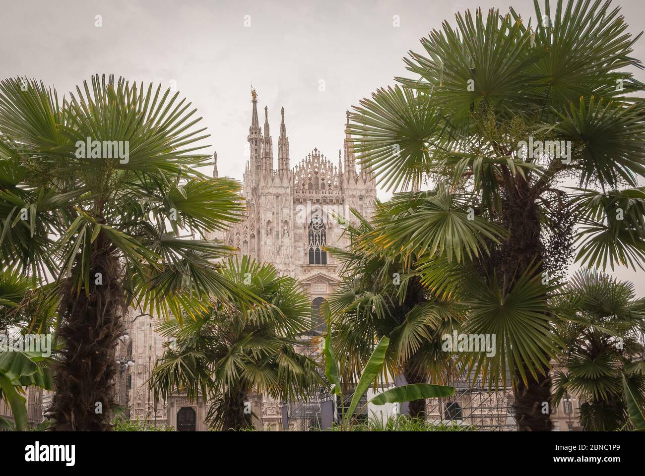 Milan, Italy, June 2019, Milan Cathedral seen among palm trees Stock ...