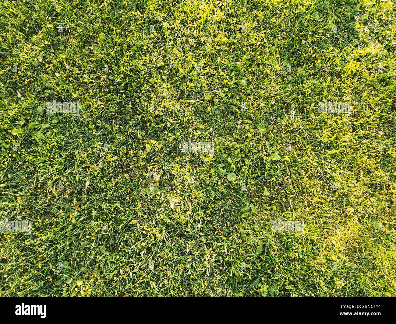 Isolated artistic warm sunrise close-up top view of well moved green ...
