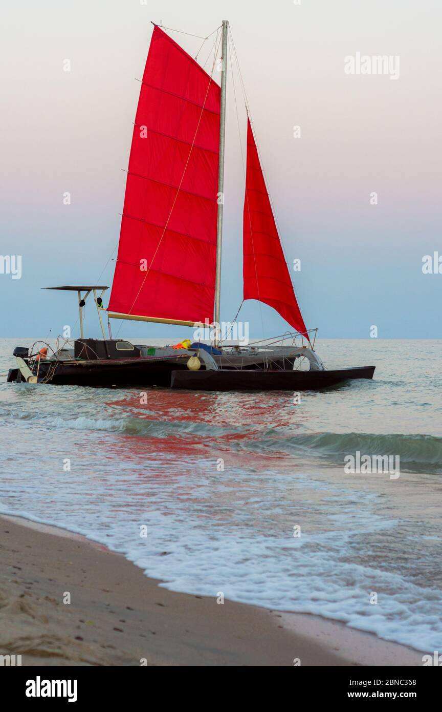 Sailing boat catamaran in sea on a beach Stock Photo - Alamy