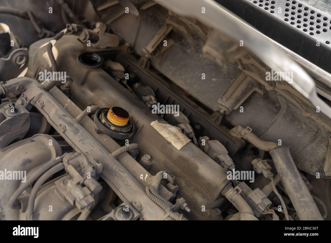 Removing hood hi-res stock photography and images - Alamy