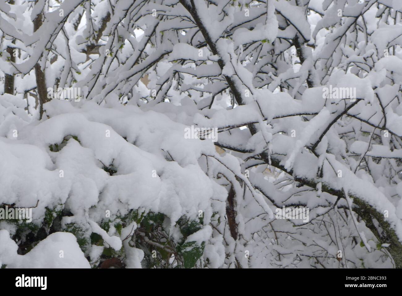 Spring snow on mount Holomon, Halkidiki, Greece Stock Photo - Alamy